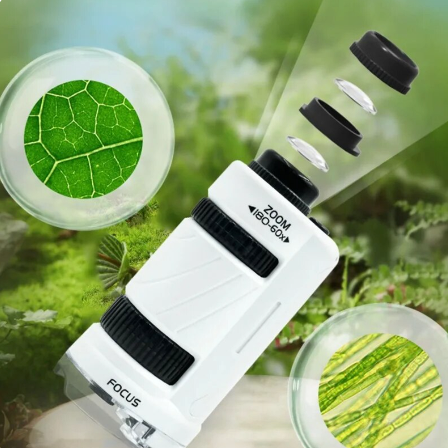 Development & Sensory Toys – KangooKids